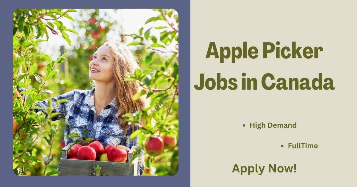 Apple Picker Jobs in Canada 2026 - Urgent Hiring