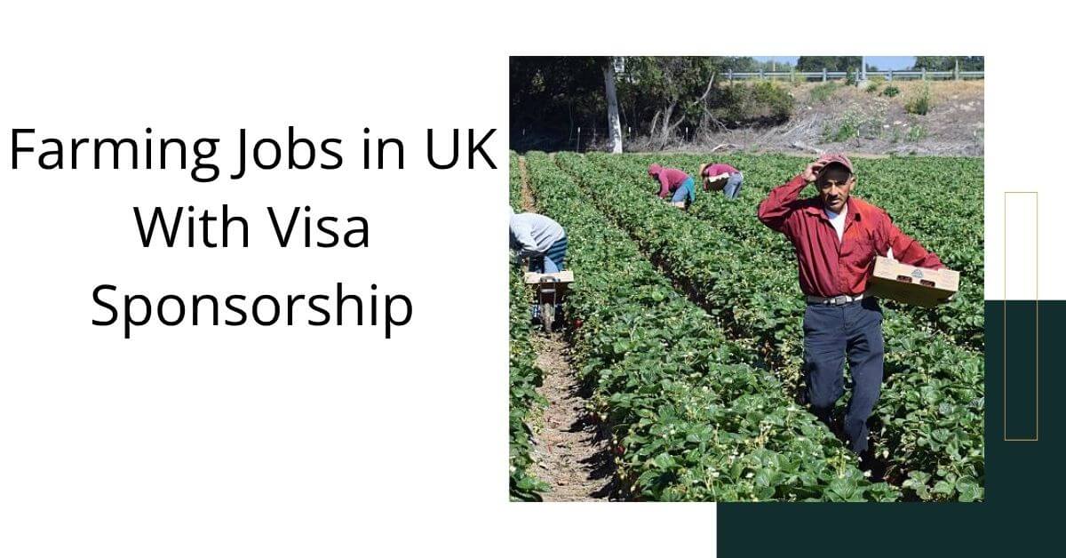 Farming Jobs in UK With Visa Sponsorship 2025 - Apply Now