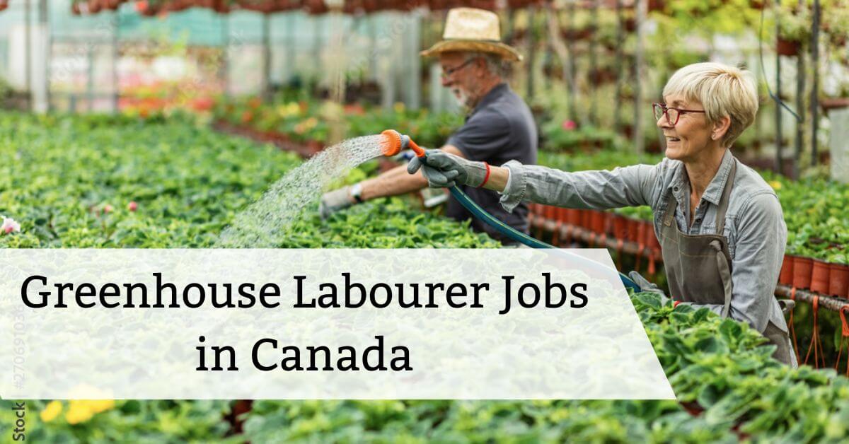 Greenhouse Labourer Jobs in Canada 2026 - Apply Now