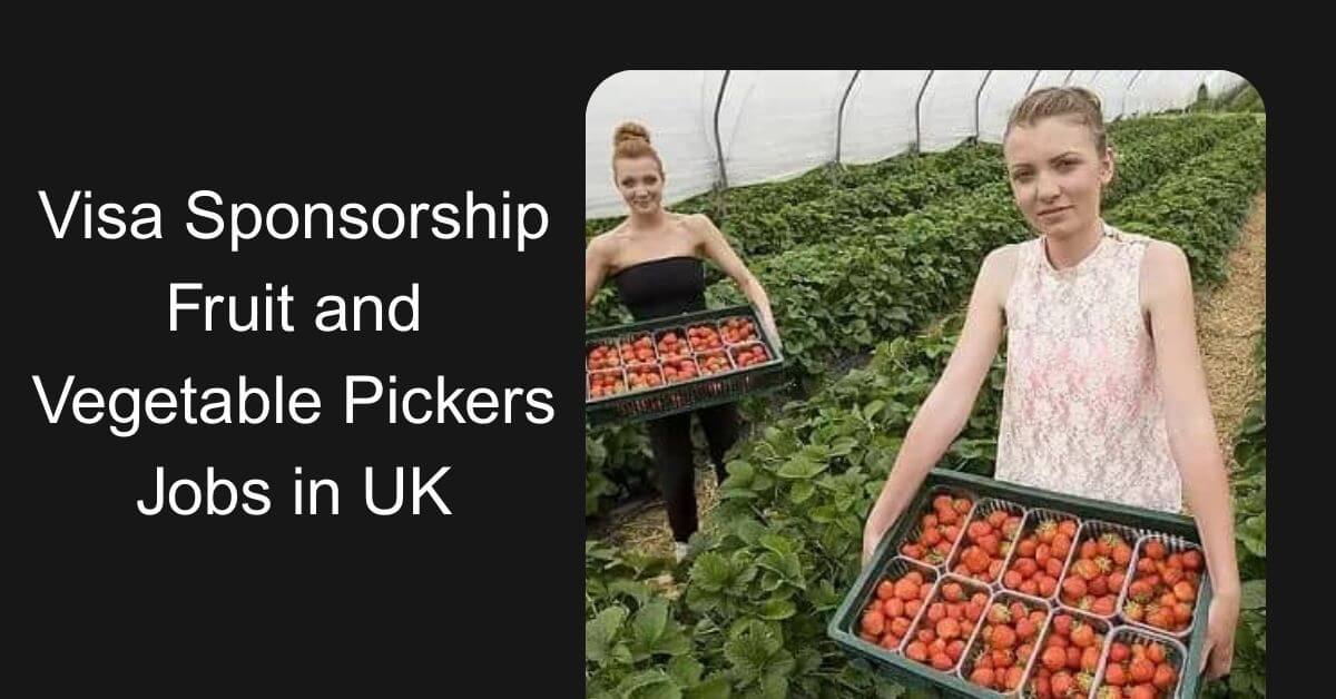 Visa Sponsorship Fruit and Vegetable Pickers Jobs in UK 2026