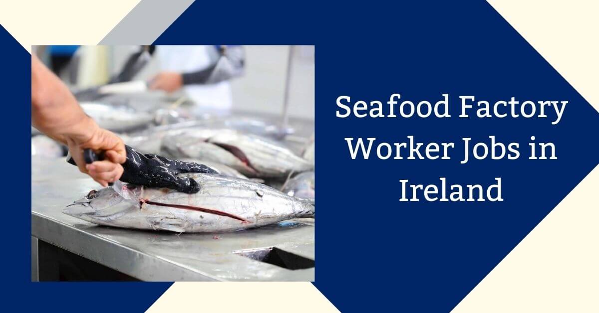 Seafood Factory Worker Jobs in Ireland 2025 - Apply Now