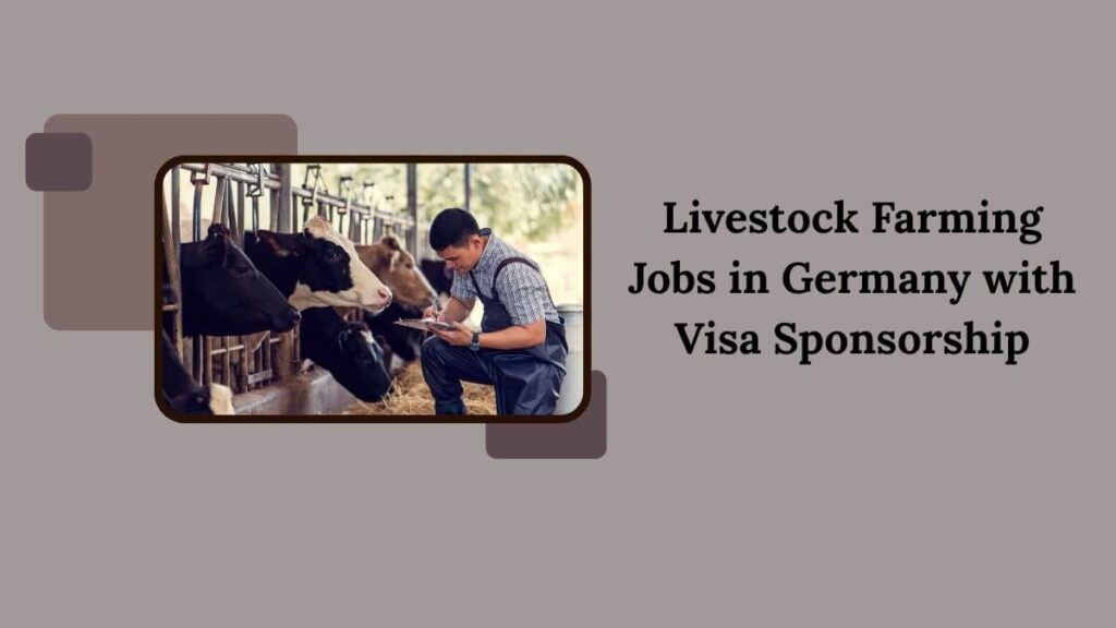 Kuwait Delivery Driver Jobs With Visa Sponsorship 2026