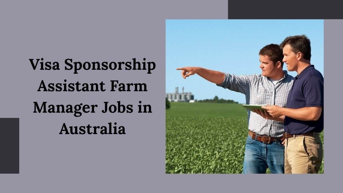 Finland Careers For Foreigners With Sponsorship 2025